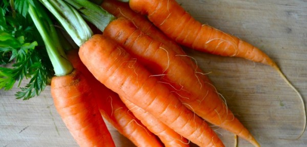 Carrot Fun Facts | Mobile Cuisine