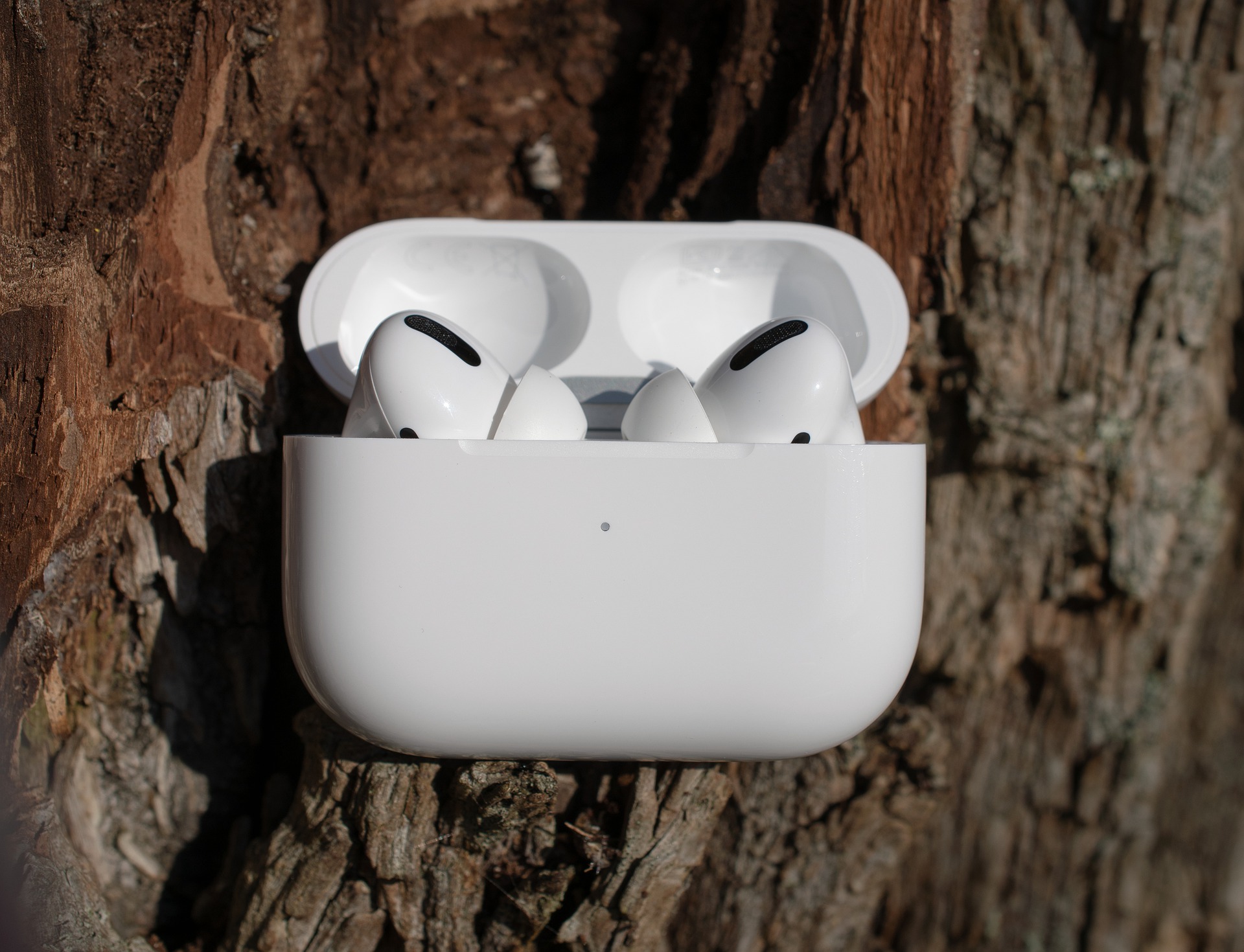 355+ Funny AirPod Nickname Ideas to Keep Your Head Nodding