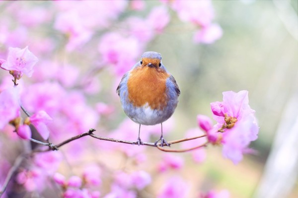 171+ Happy Spring Wishes and New Beginning Quotes (Copy + Paste)