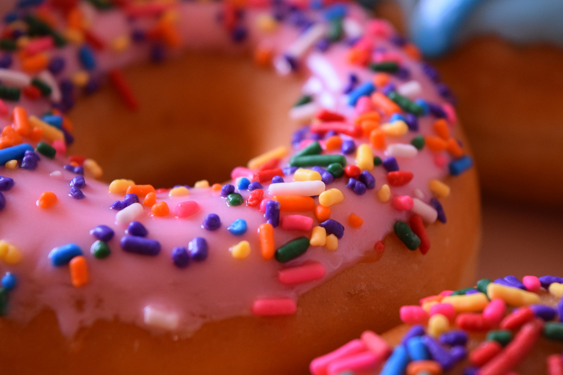305+ Funny Donut Business Names That Make Customers Smile