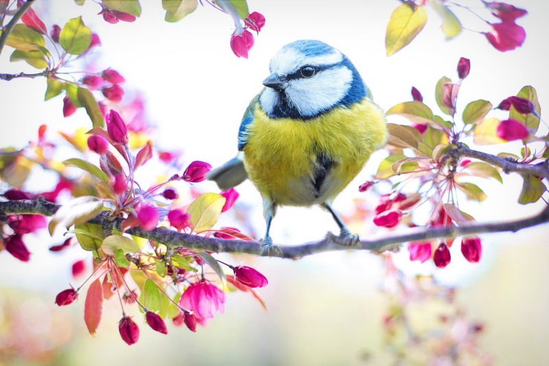 171+ Happy Spring Wishes and New Beginning Quotes (Copy + Paste)