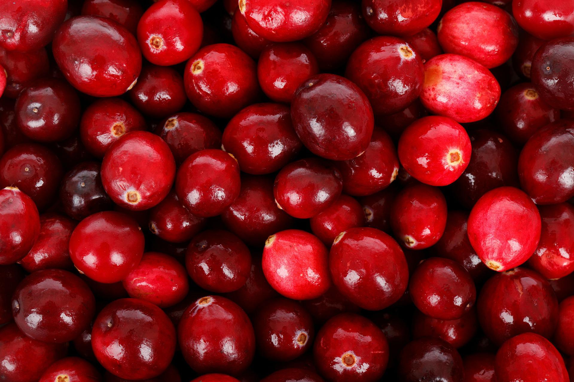 202+ Cute Cranberry Captions and Quotes for Social Media