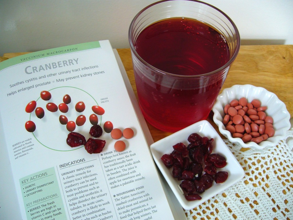 202+ Cute Cranberry Captions and Quotes for Social Media