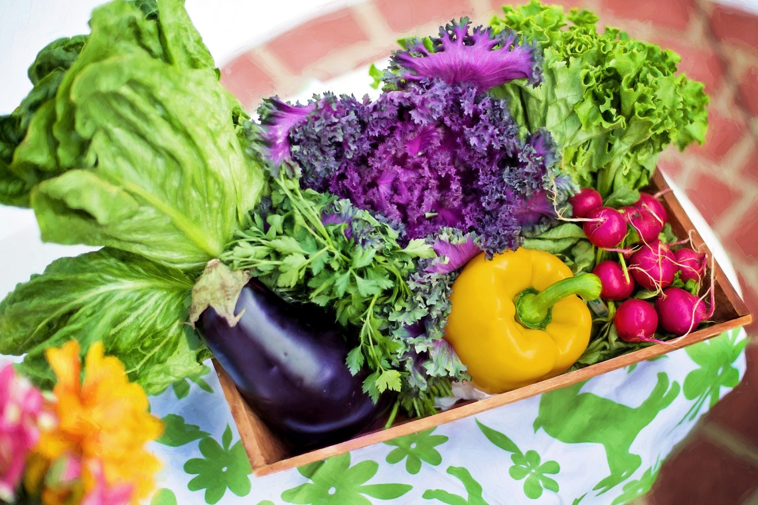 225+ Organic Food Marketing Slogans and Quotes for Better Health
