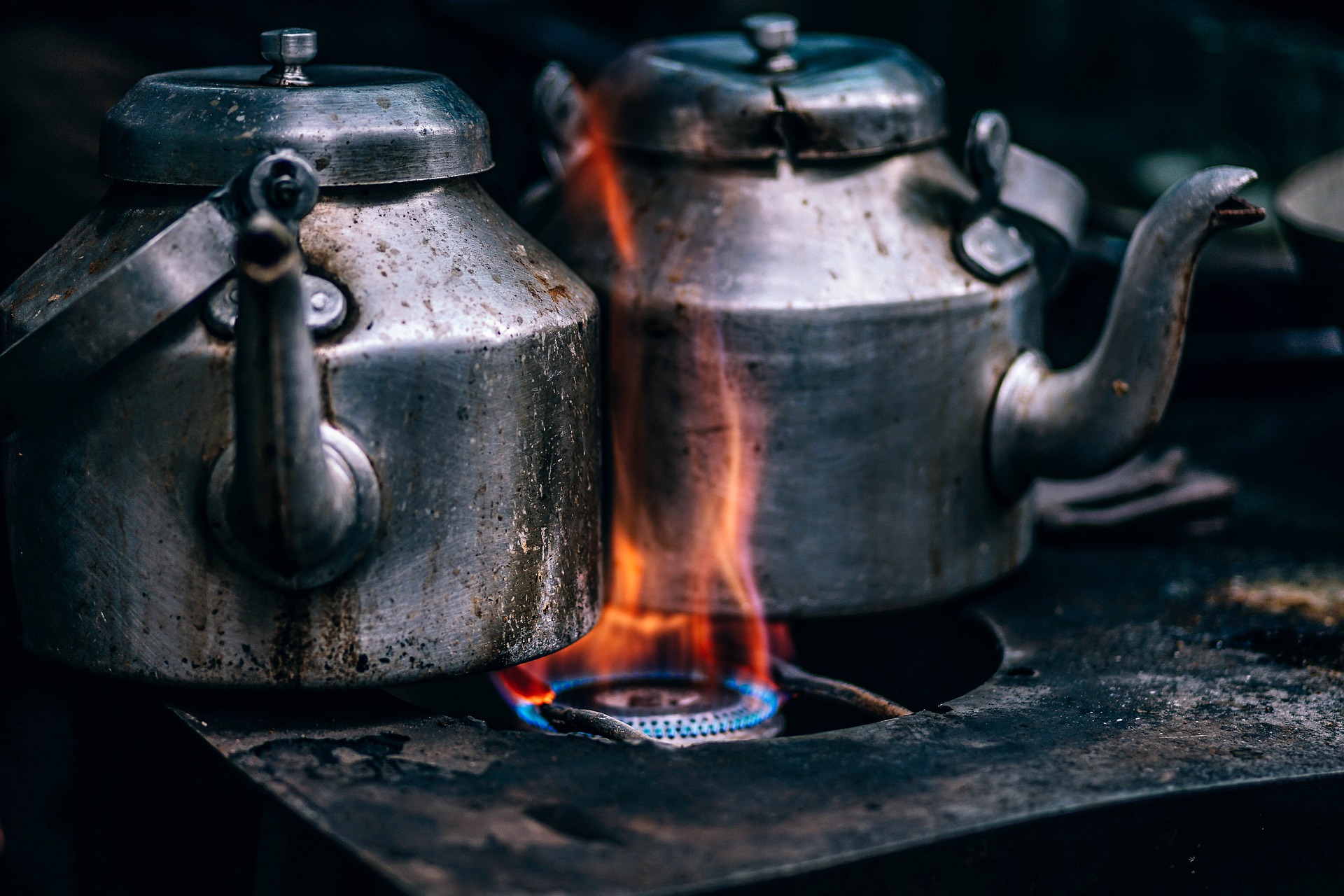 105+ Smart Food Safety Slogans to Help Prevent Poisoning