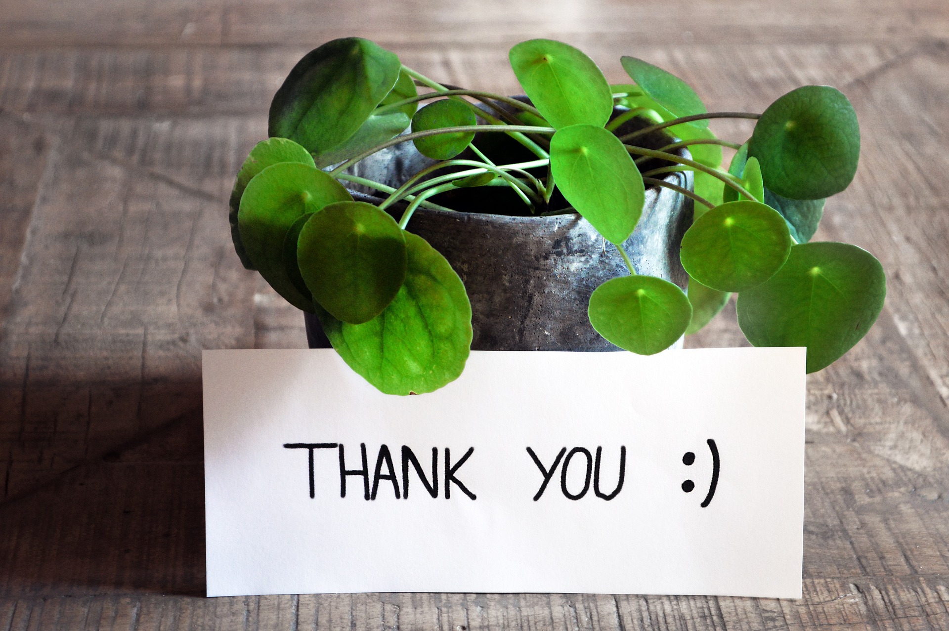 110+ Thank You For Your Patronage Messages to Share with Customers