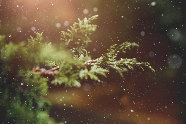 475+ Winter Party Name Ideas To Warm Hearts This Season