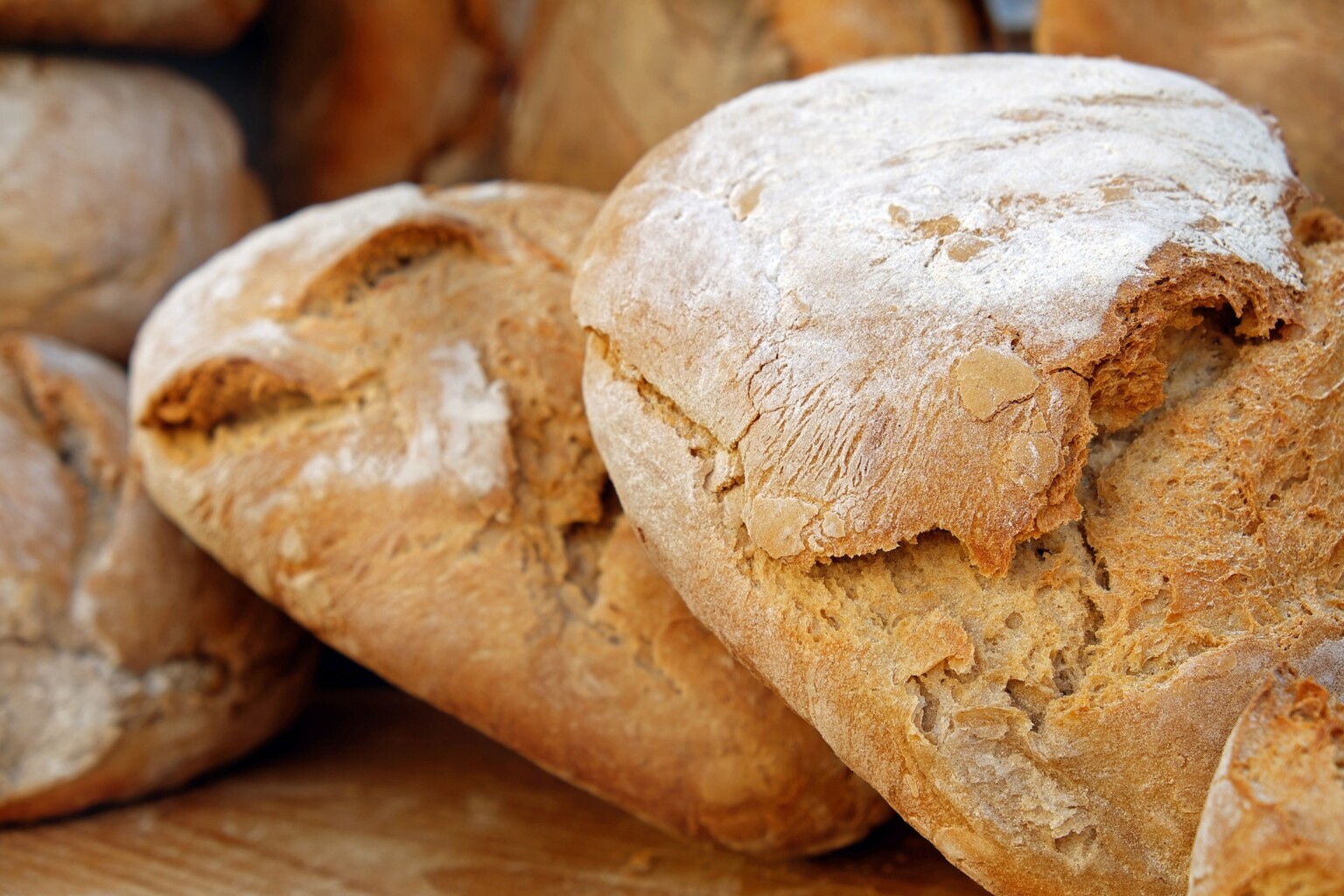 203-artisan-bread-slogans-quotes-a-crust-above-the-rest