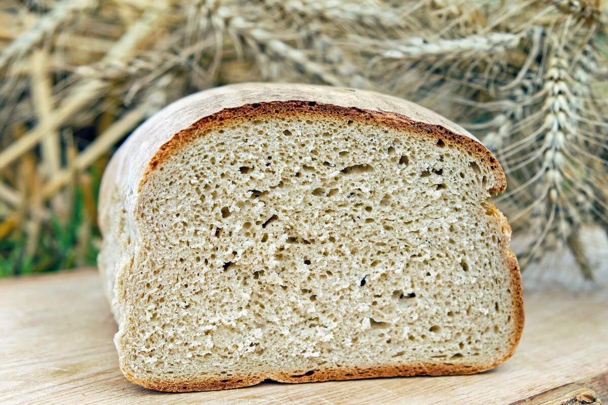 203-artisan-bread-slogans-quotes-a-crust-above-the-rest