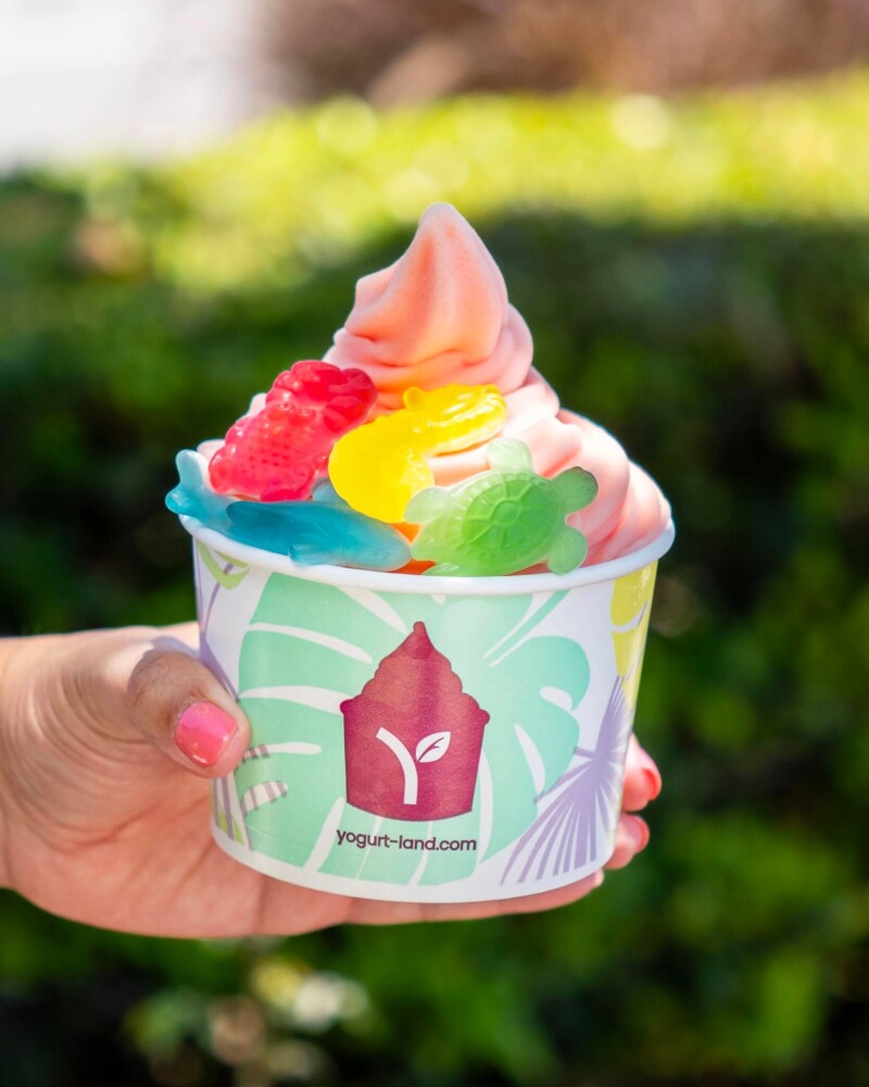 Yogurtland Menu Prices & Real Rewards (2024)