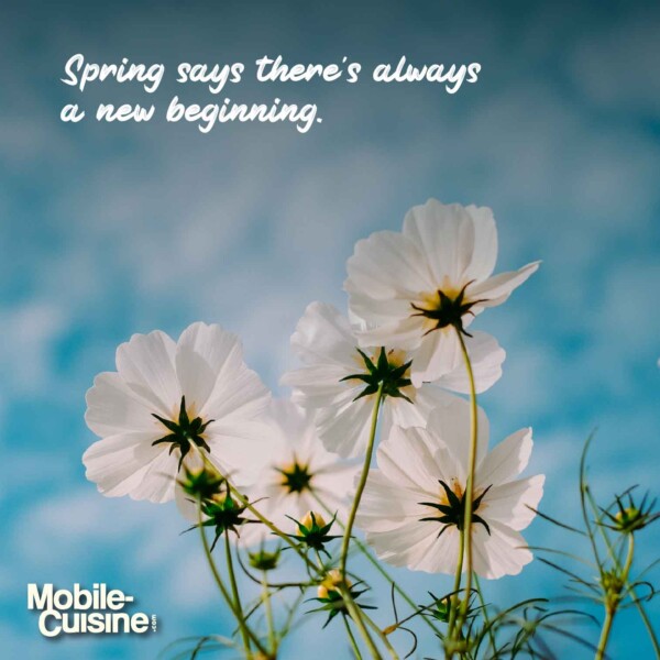 250+ Unforgettable Spring Marketing Slogans (2024 Update)